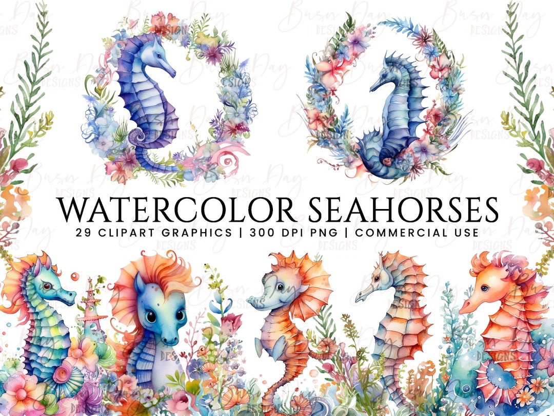 29 Watercolor Seahorse Clipart Bundle, Digital Download, Digital Paper ...