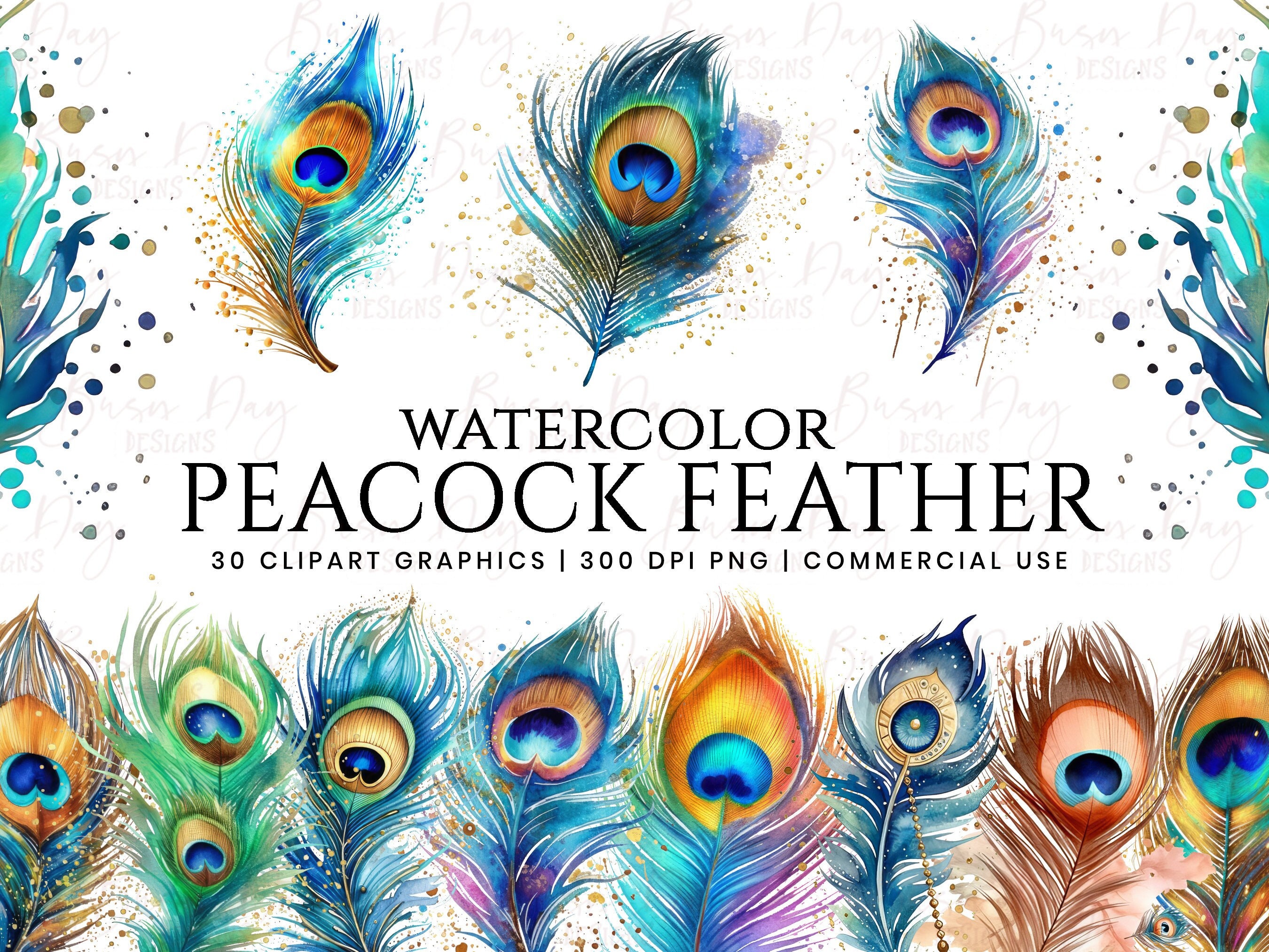 Watercolor Peacock Feather Clipart Bundle (digital Download) - Etsy