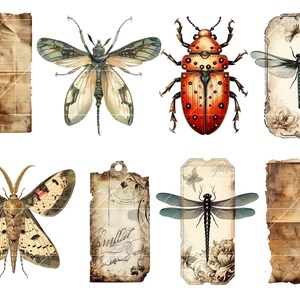 39 Vintage Bugs Ephemera Tag Printable Stickers Digital Prints Png ...