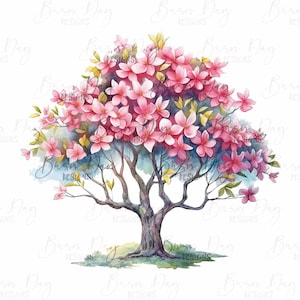 Watercolor Blossom Tree Clipart: 31 PNG Graphics (digital Download) - Etsy