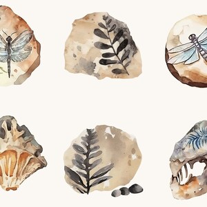 18 Watercolor Fossils Clipart Bundle Sublimation Designs, Printable Art ...