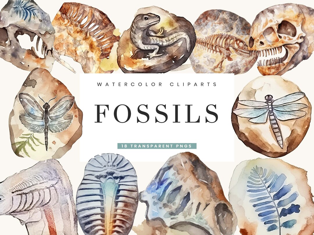 18 Watercolor Fossils Clipart Bundle Sublimation Designs, Printable Art ...