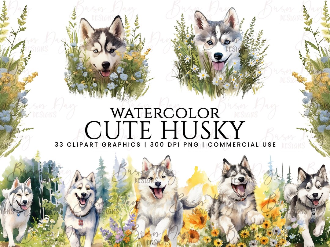 33 Watercolor Cute Husky Clipart Bundle, Watercolor Clipart, Watercolor ...
