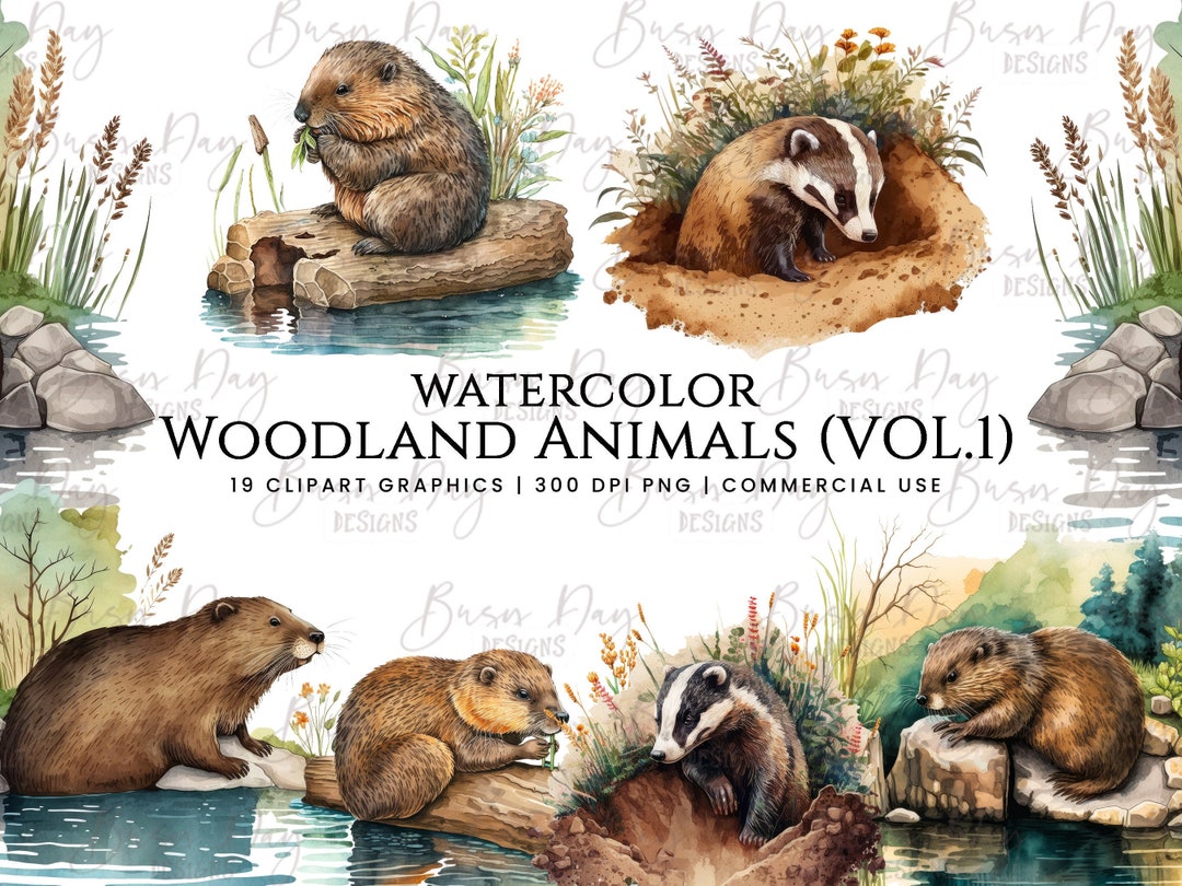 19 Watercolor Woodland Animal Clipart , Watercolor Clipart, Digital ...