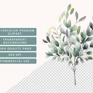Watercolor Greenery Clipart: Floral Leaves Bundle (digital Download) - Etsy