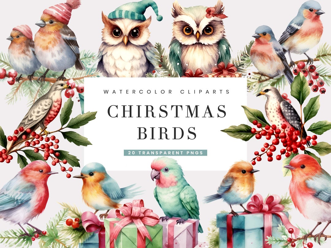 20 Watercolor Christmas Birds Clipart Bundle Digital Download ...