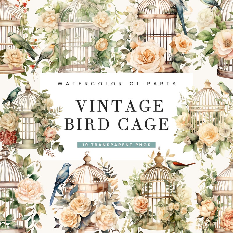 Bird Cage Print - Etsy