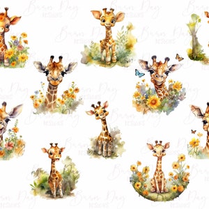 Watercolor Baby Giraffe Clipart Bundle (digital Download) - Etsy