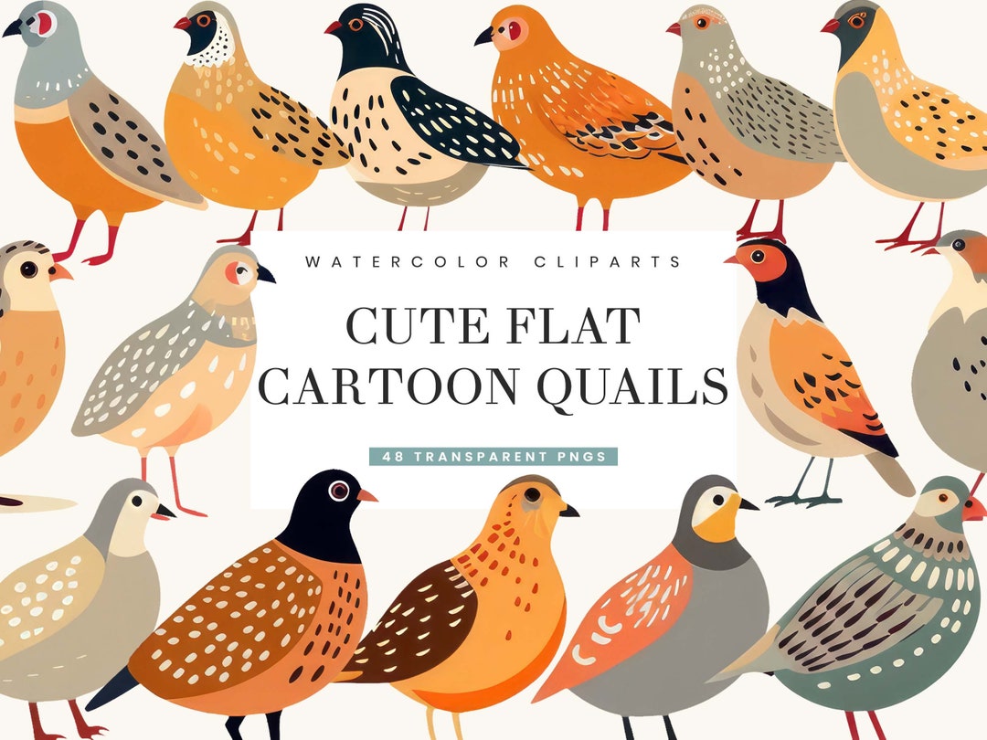 Cartoon Quail Clipart Bundle: Flat Design, Printable PNG Files (digital ...