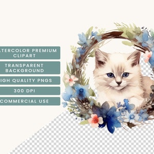 29 Watercolor Ragdoll Cats Clipart Bundle Sublimation Designs, Instant ...