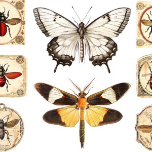 39 Vintage Bugs Ephemera Tag Printable Stickers Digital Prints Png ...