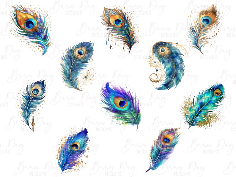 Watercolor Peacock Feather Clipart Bundle (digital Download) - Etsy
