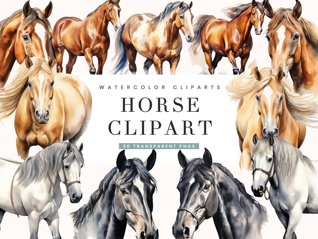 30 Watercolor Horse Clipart Bundle Sublimation Designs Digital Download ...