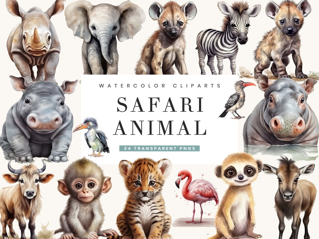 34 Watercolor Safari Animal Clipart Bundle Digital Download Sublimation ...
