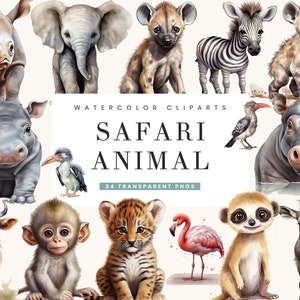 34 Watercolor Safari Animal Clipart Bundle Digital Download Sublimation ...