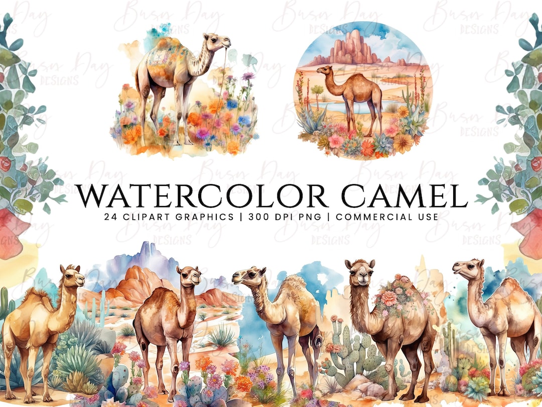 Watercolor Camel Clipart Bundle: Desert Animal Graphics (digital ...