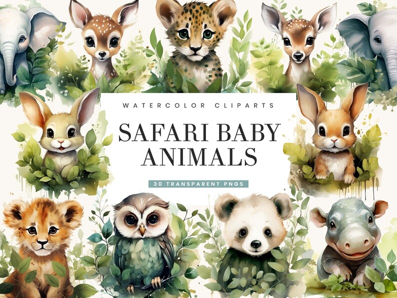 Watercolor Safari Baby Animals Clipart: 30 PNG Designs (digital ...