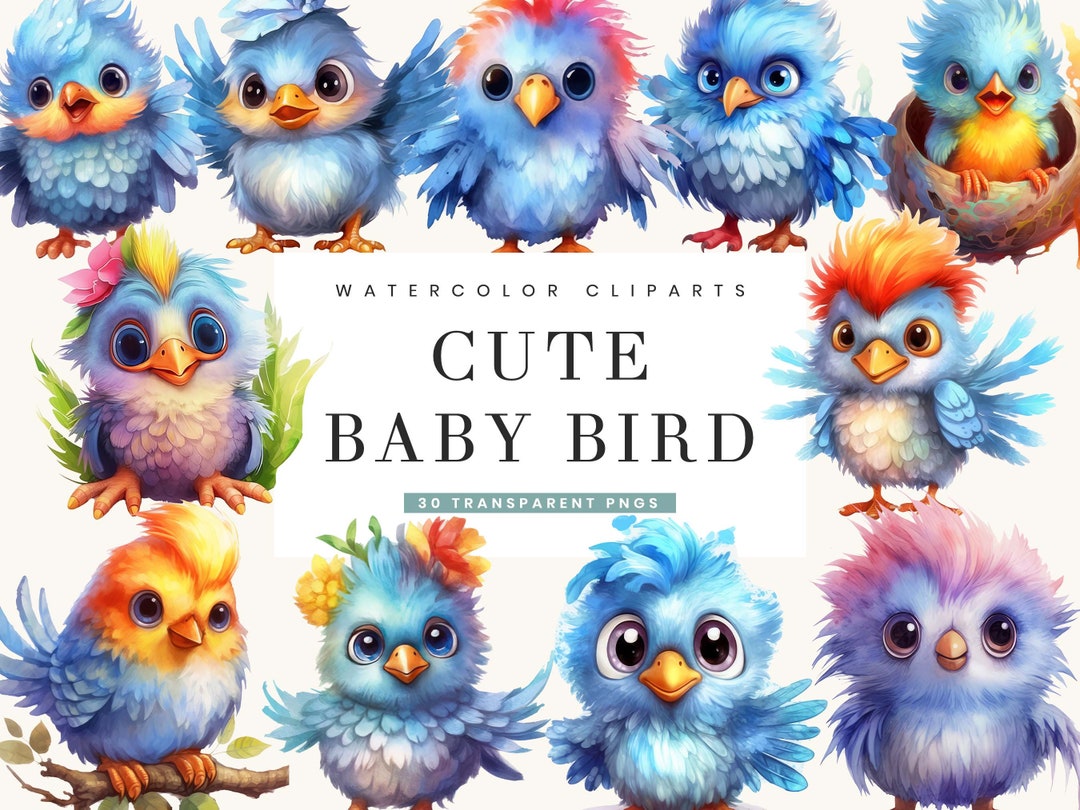 30 Watercolor Cute Baby Bird Clipart Bundle, Digital Download ...