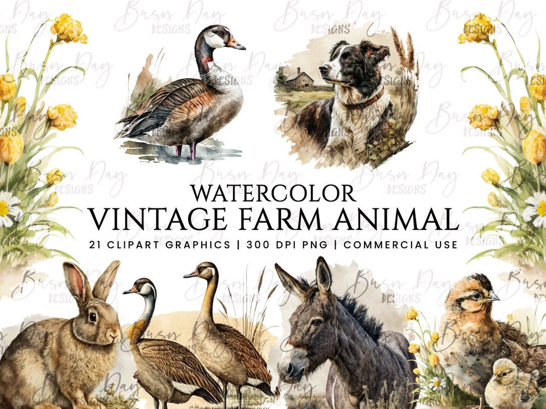 21 Watercolor Vintage Farm Animals Clipart, Watercolor Clipart, Digital ...