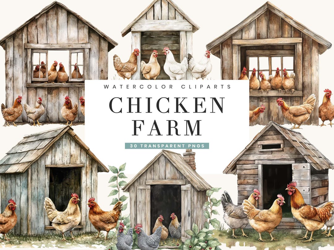 Watercolor Chicken Farm Clipart Bundle, PNG Files (digital Download) - Etsy