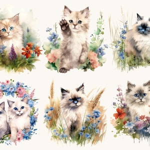 29 Watercolor Ragdoll Cats Clipart Bundle Sublimation Designs, Instant ...