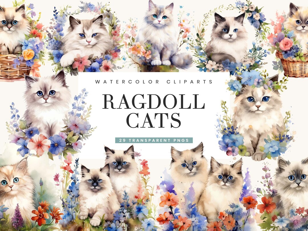 29 Watercolor Ragdoll Cats Clipart Bundle Sublimation Designs, Instant ...