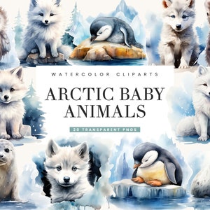 20 Watercolor Arctic Baby Animal Clipart Bundle Digital Download ...