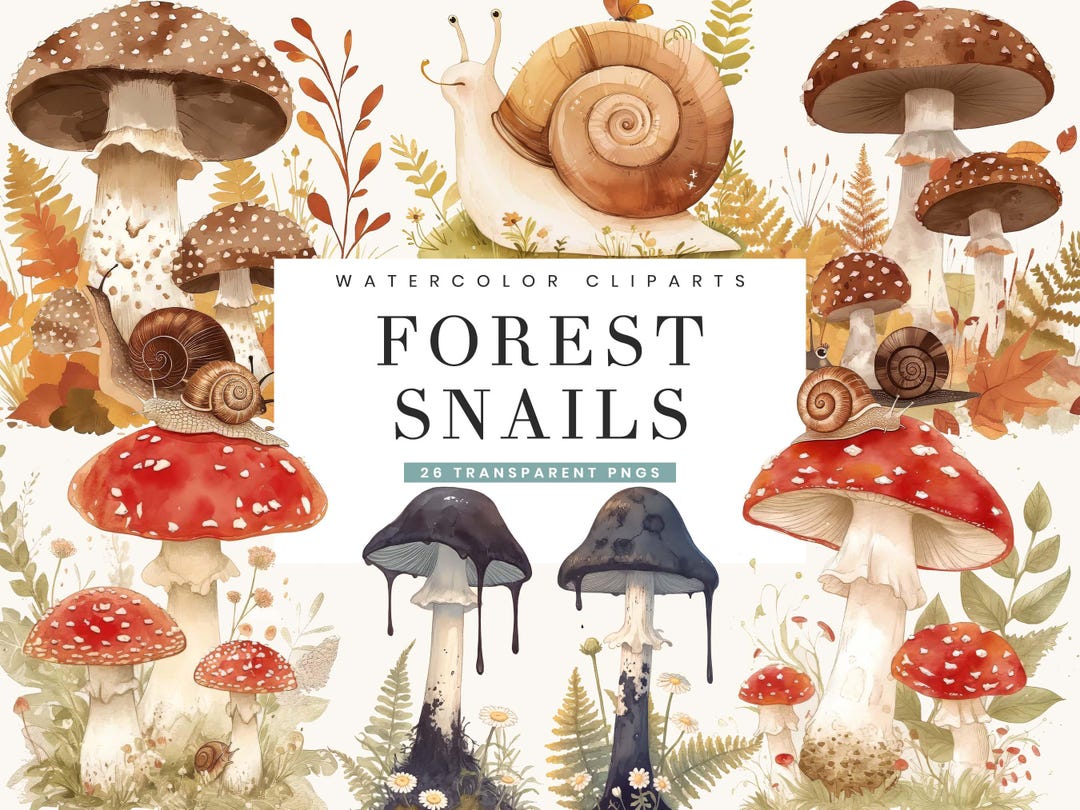 Watercolor Magic Forest Snail Clipart Bundle (digital Download) - Etsy