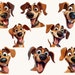 20 Comic Funny Dogs Clipart Bundle Sublimation Designs Printable Wall ...