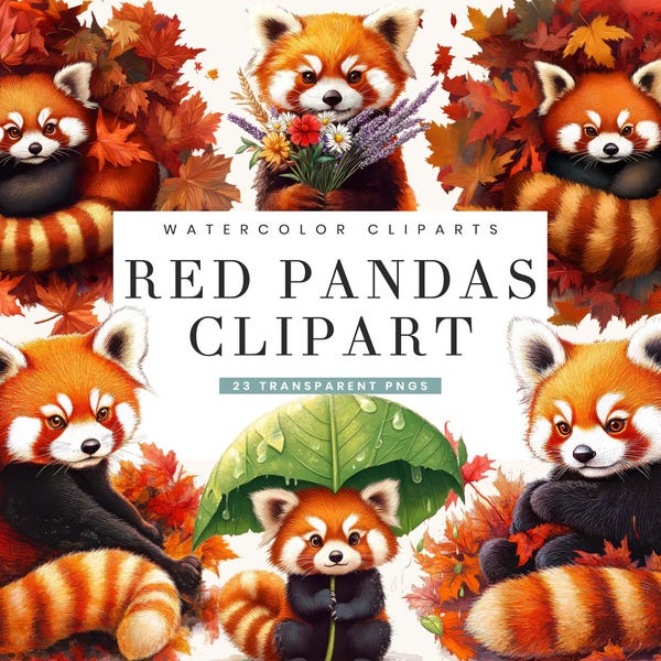 Panda Scrapbook - Etsy