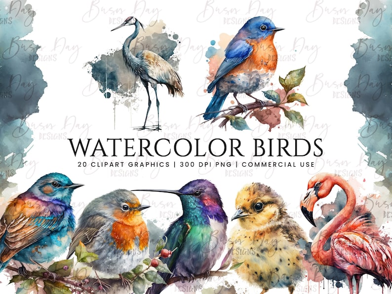Watercolor Birds Clipart Bundle: 20 PNG Graphics (digital Download) - Etsy