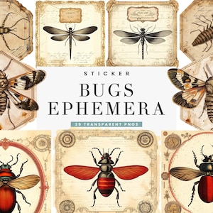 39 Vintage Bugs Ephemera Tag Printable Stickers Digital Prints Png ...
