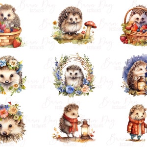 Watercolor Hedgehog Clipart Bundle Watercolor Clipart - Etsy