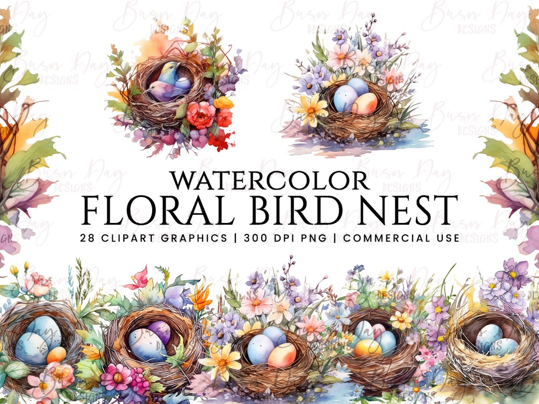 Watercolor Floral Bird Nest Clipart Bundle (digital Download) - Etsy