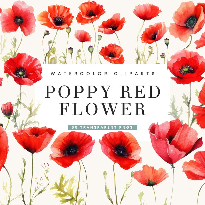 Black White and Red Poppy Print - Etsy