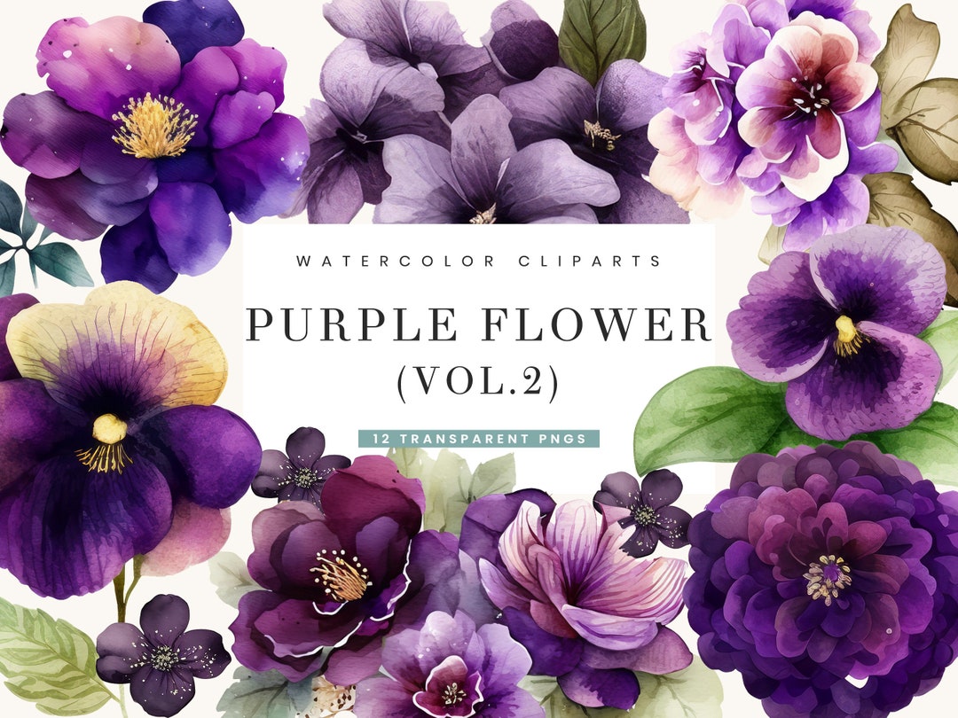 Watercolor Purple Flower Clipart Bundle: Sublimation Designs (digital ...