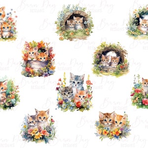 Watercolor Baby Cats Clipart Bundle (digital Download) - Etsy