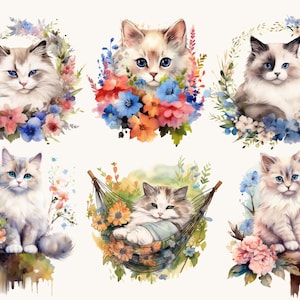 29 Watercolor Ragdoll Cats Clipart Bundle Sublimation Designs, Instant ...