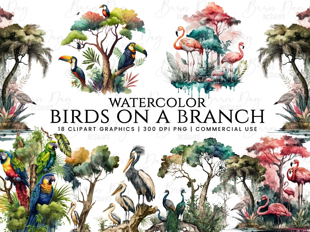 Watercolor Bird Clipart: Tropical Birds on Branch (digital Download) - Etsy