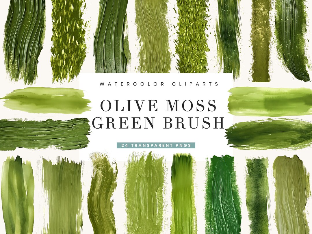 Olive Moss Green Brush Stroke Clipart: 24 PNG Designs (digital Download ...