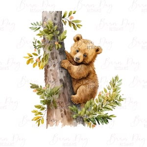 Watercolor Baby Bear Clipart Watercolor Clipart Digital - Etsy
