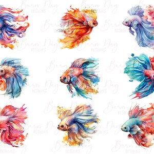 Watercolor Betta Fish Clipart: 27 PNG Designs (digital Download) - Etsy