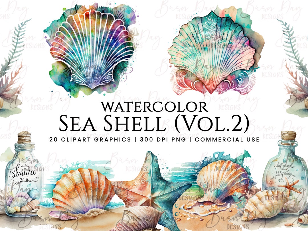 20 Watercolor Sea Shell Vol 2 Clipart , Clipart Bundle, Commercial Use ...
