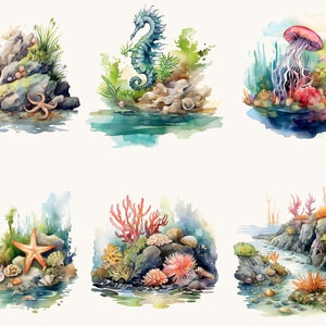 Watercolor Tidepool Clipart Bundle: Seascape Sublimation Designs ...