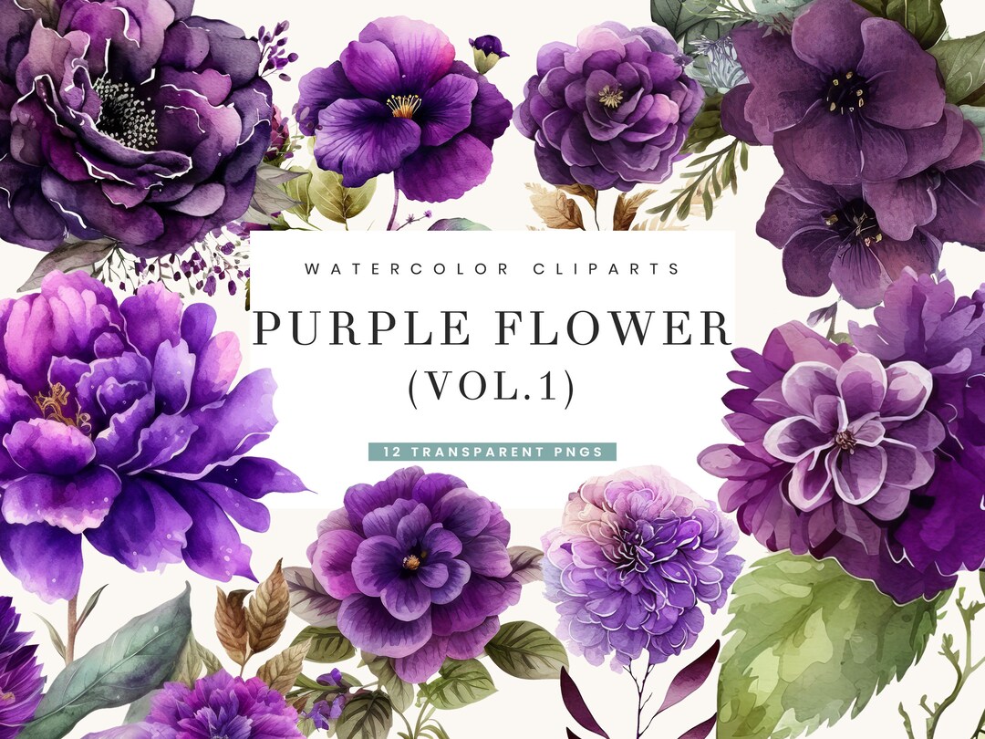 Watercolor Purple Flower Clipart: Violet Roses, Sublimation Designs ...