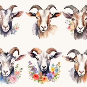 Watercolor Floral Goat Clipart Bundle: Sublimation Designs (digital ...