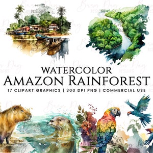 Watercolor Amazon Rainforest Clipart Bundle Digital Download - Etsy