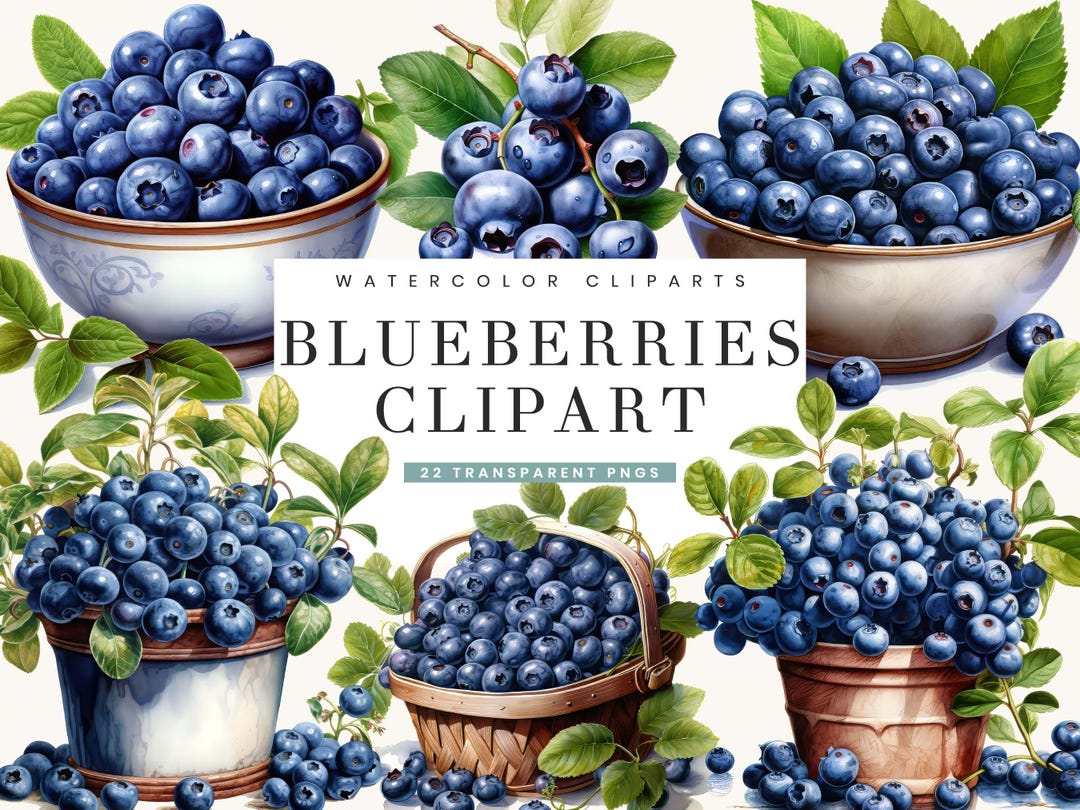 Watercolor Blue Berries Clipart Bundle: 22 PNG Designs (digital ...