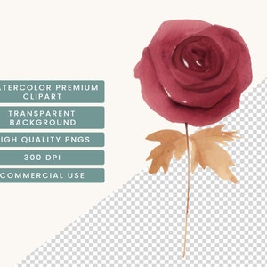 82 Watercolor Flowers Clipart Bundle Sublimation Designs, Instant ...