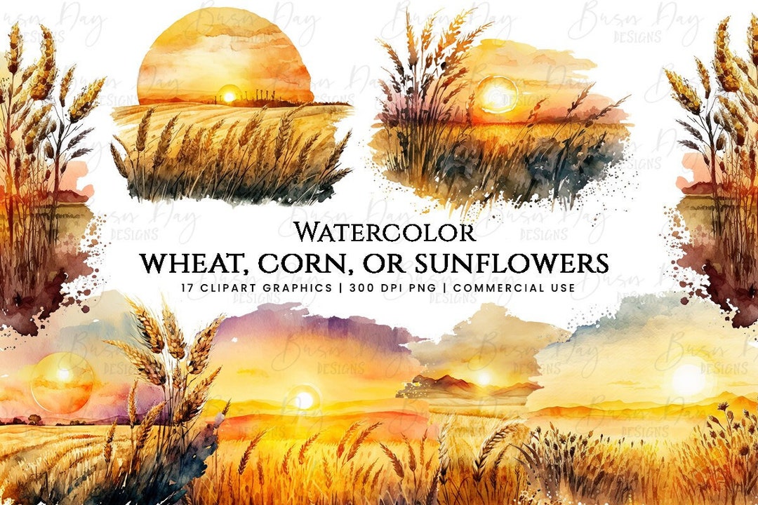 Watercolor Wheat Field Clipart: Farm Landscape Graphics (17 PNG) - Etsy